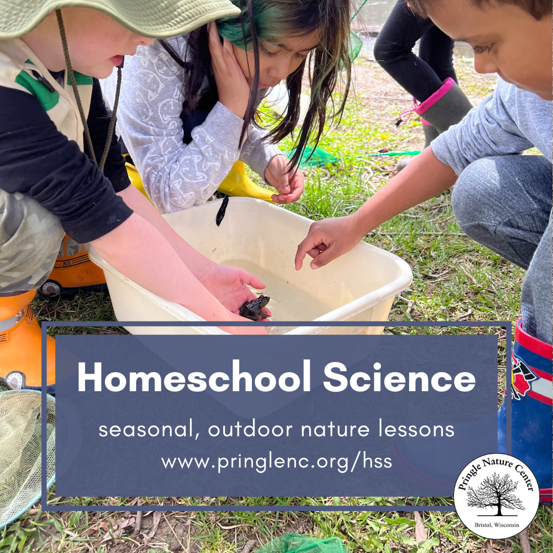 Homeschool Science: 2025-26 4K/5K sessions | Pringle Nature Center