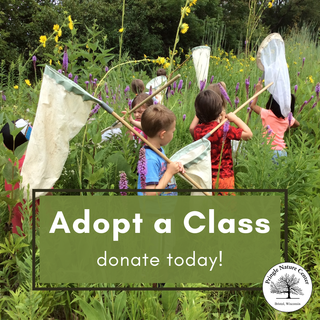 Employment FAQ History Publications Staff & Board Trail Map